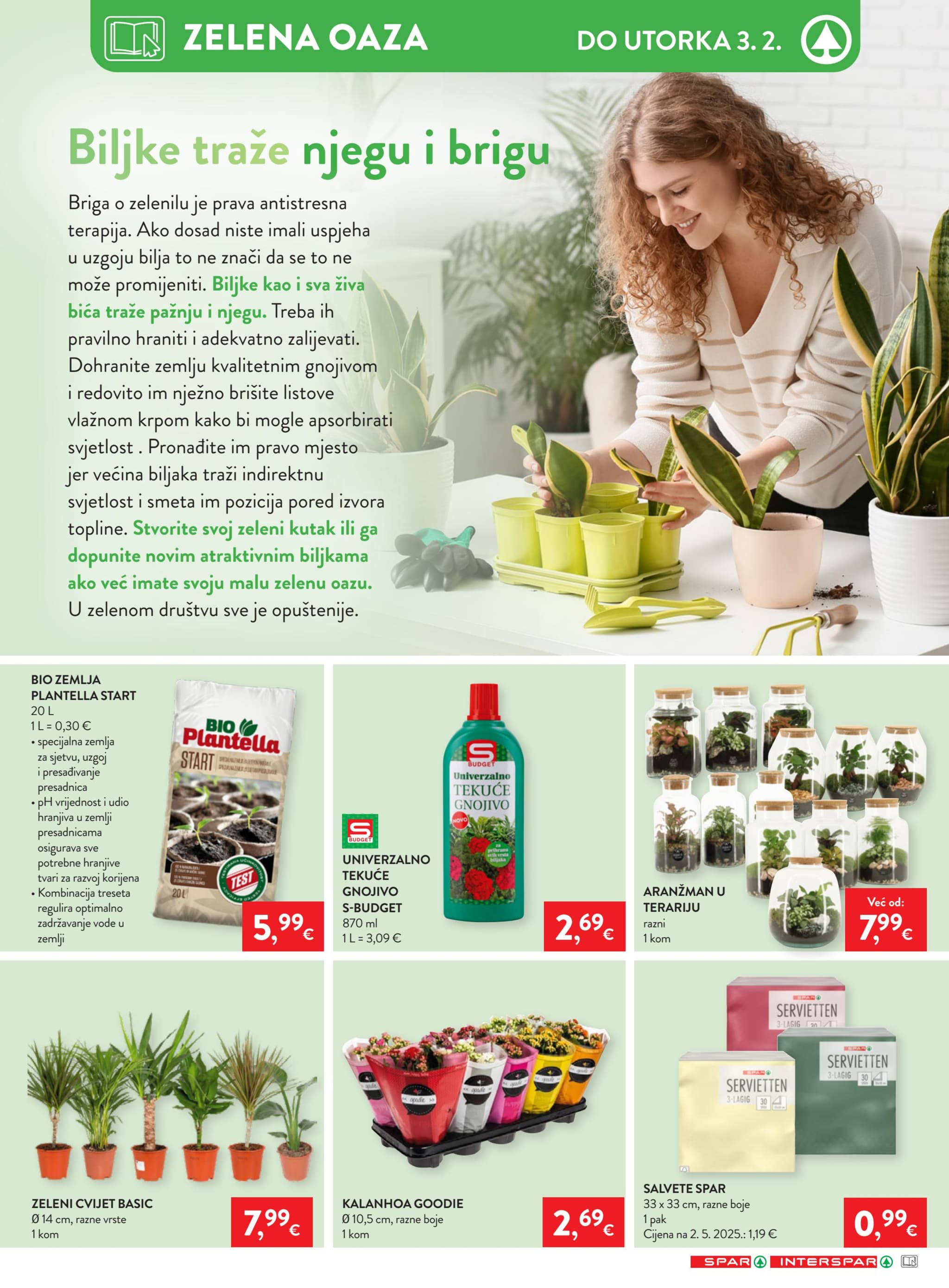 Zeleni cvijet Basic 1 kom na akciji u trgovinama Spar