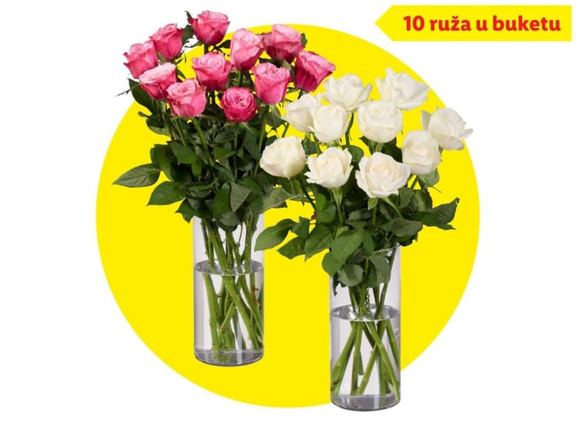 Ruže rezane 10 ruža u buketu: Akcija (Lidl) 10.11.