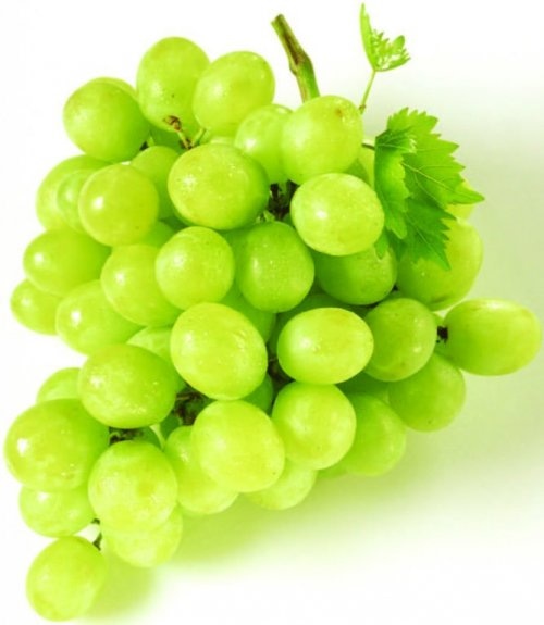 Grožđe bijelo 1kg: Akcija (Ribola) 24.06